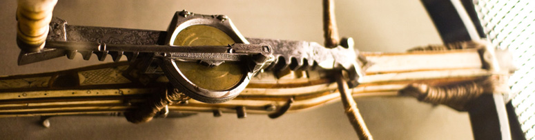 Government exploring crossbow rules | Nelson Guest & Partners