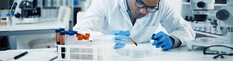 Forensic Science Under the Microscope | Nelson Guest & Partners